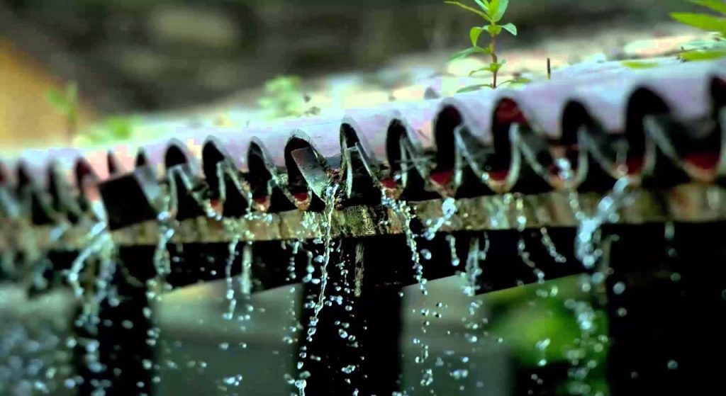 Collecting and Using Rainwater: Rainwater Harvesting