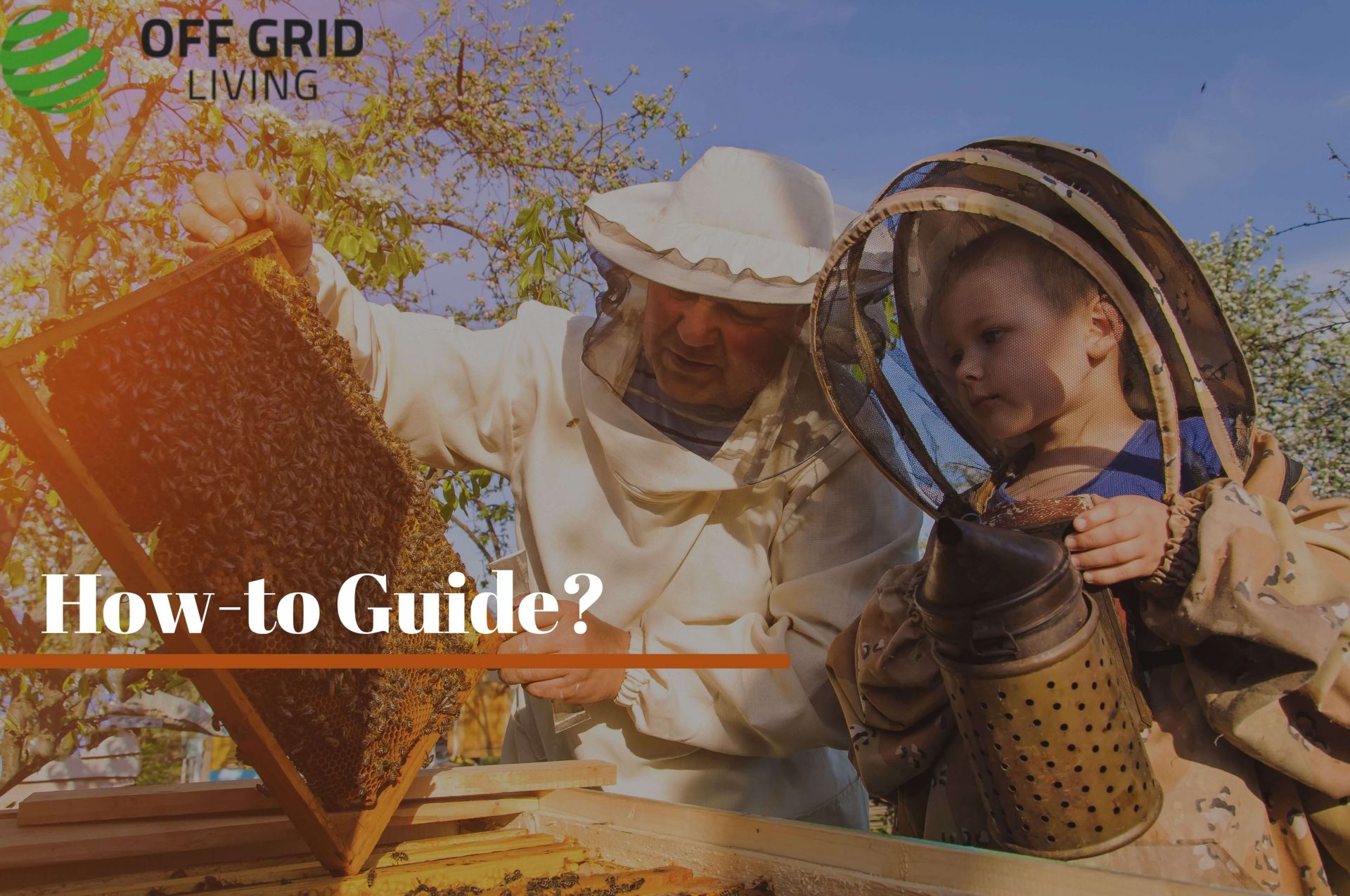 Benefits and How-To Guide of Beekeeping | offgridliving.net