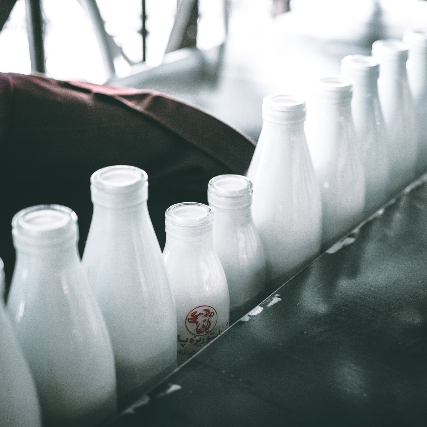 Making Dairy Items and Ingredients Using Homegrown Off Grid Produce