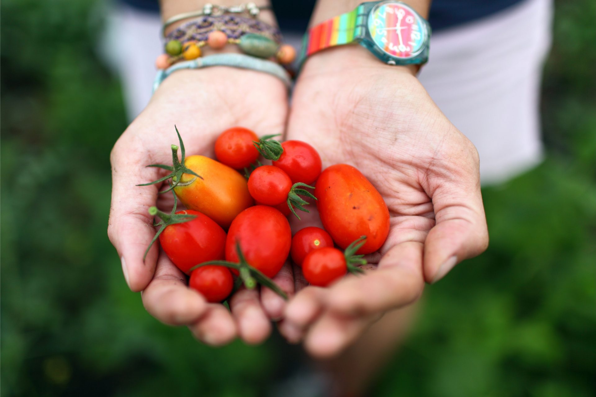 How to Produce Your Own Food Off the Grid