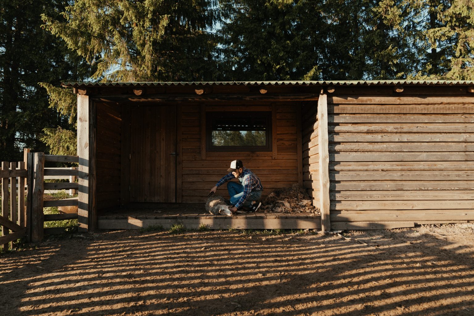 Master the Art of Offgrid Living with These Key Essentials